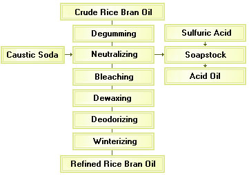 Rice Bran Oil,Rice Bran Oil Extraction Process